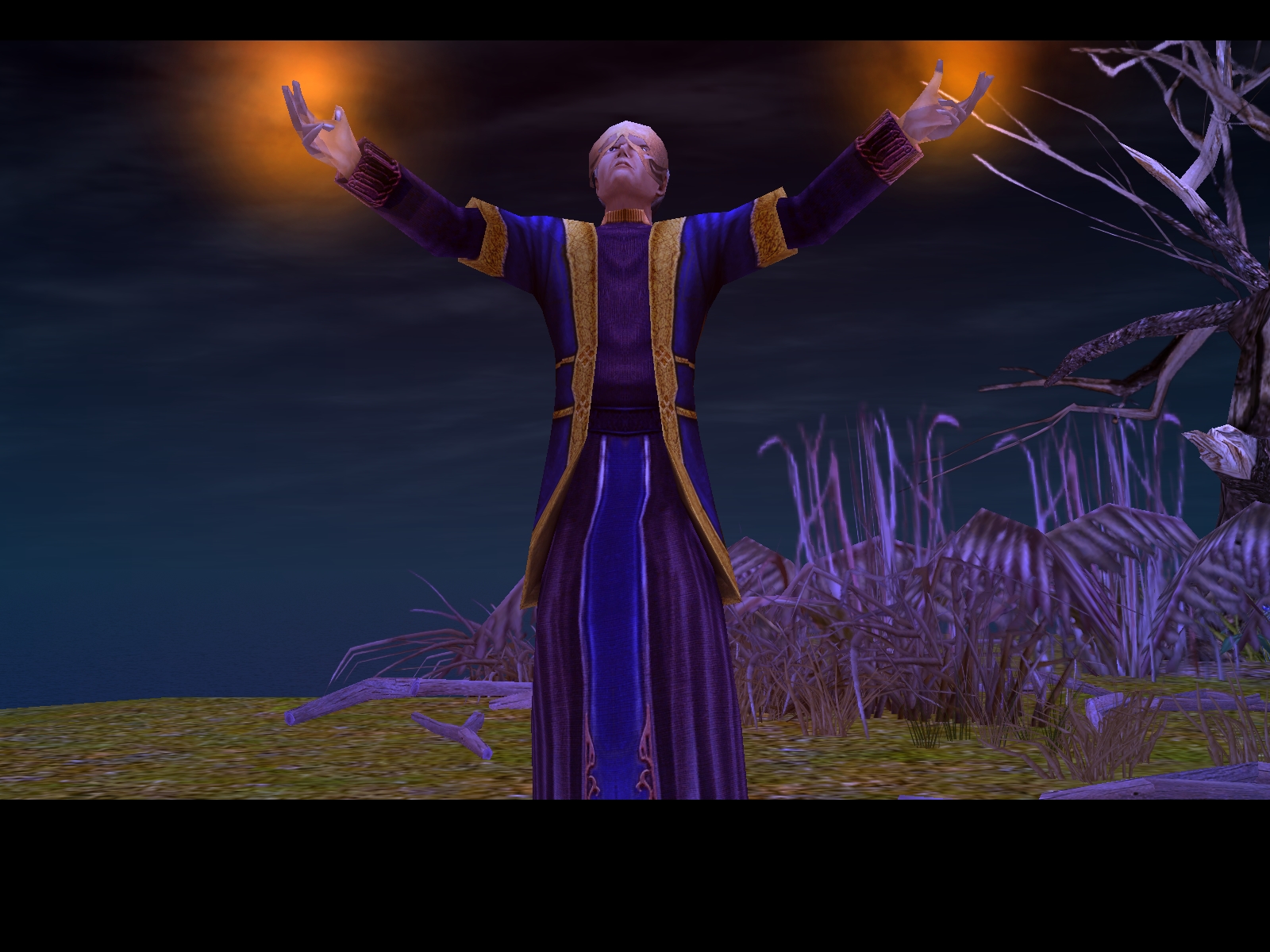 Hokan Ashir Spellforce Wiki Fandom Powered By Wikia