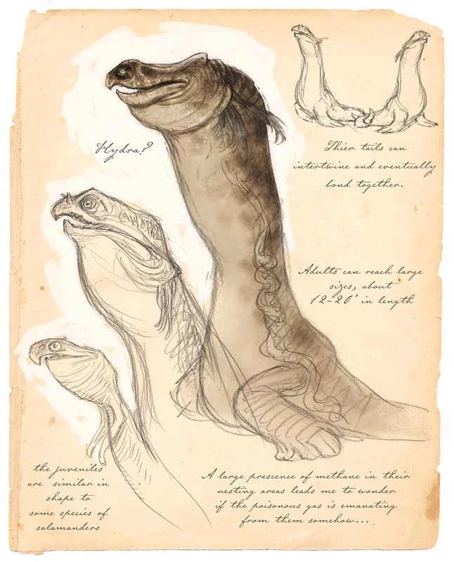 Faerie | Spiderwick Chronicles Wiki | FANDOM powered by Wikia