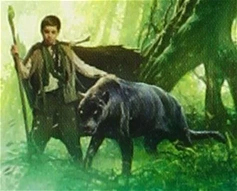 Devin Trunswick | Sprit Animals Wiki | Fandom