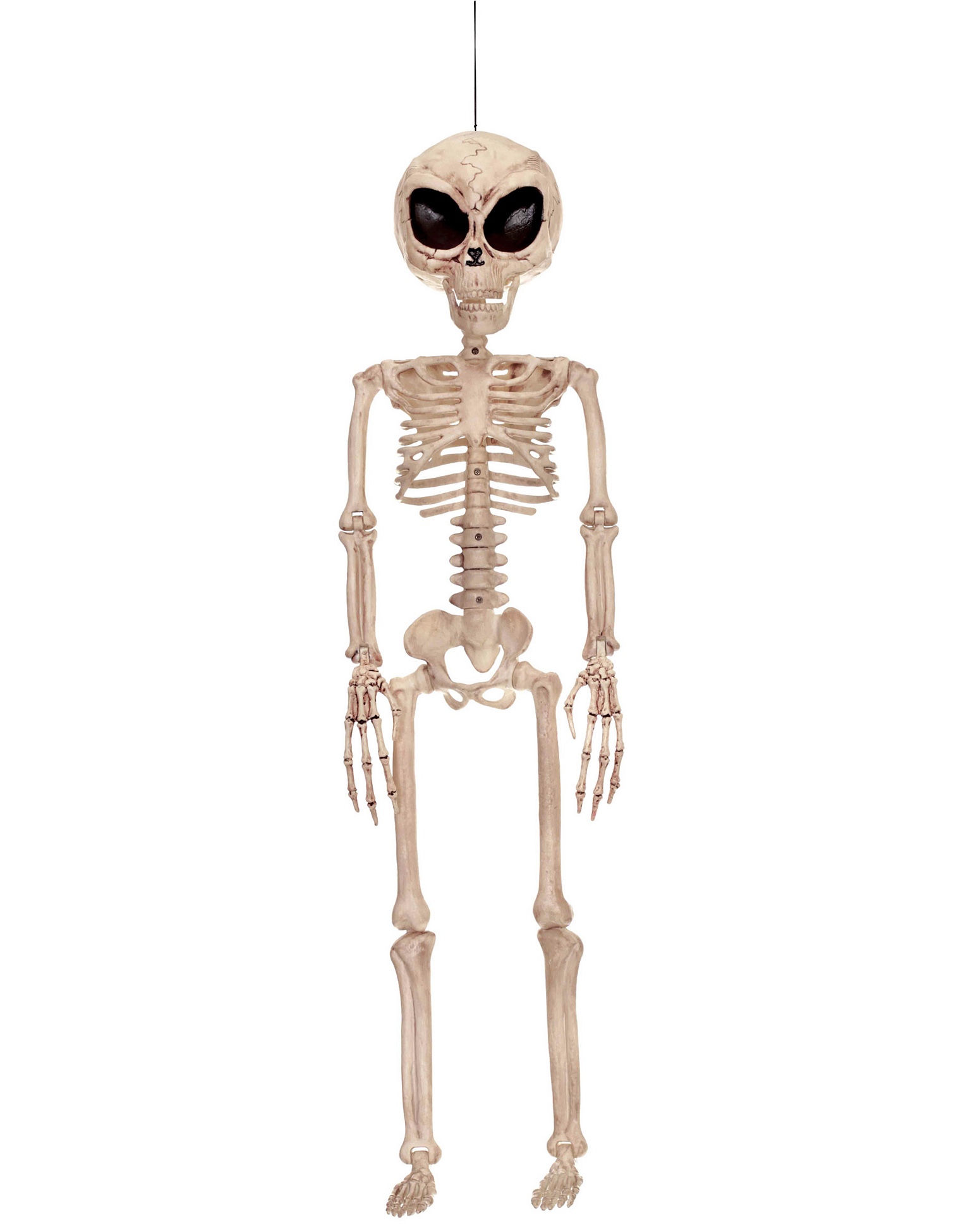 Alien Skeleton Spirit Halloween Wikia Fandom