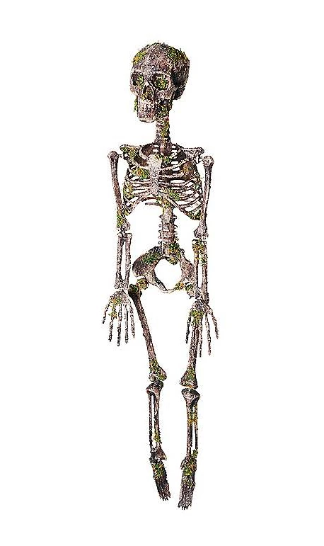 Moss Skeleton | Spirit Halloween Wikia | Fandom