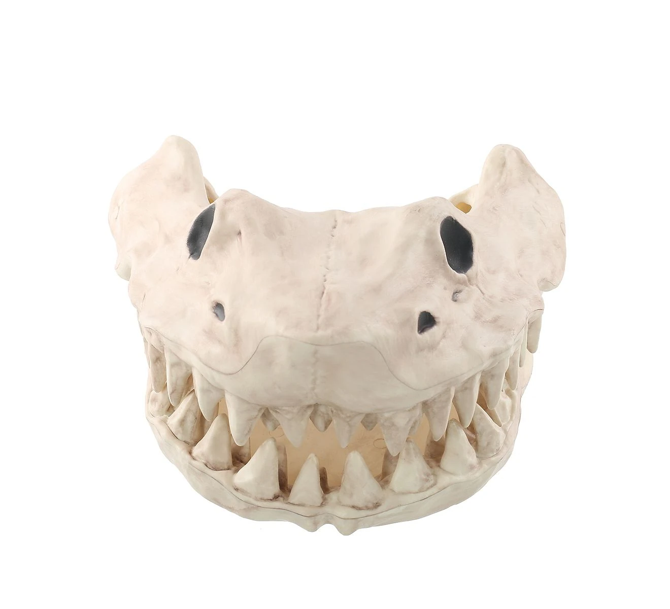Shark Skull | Spirit Halloween Wikia | Fandom