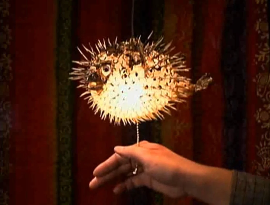 Mr. Puff | Spongebob-Wiki | FANDOM powered by Wikia