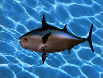 Johnny Elaine | Encyclopedia SpongeBobia | FANDOM powered by Wikia