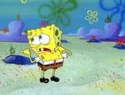 Texas | Encyclopedia SpongeBobia | Fandom