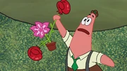 Boxing Begonia | Encyclopedia SpongeBobia | Fandom
