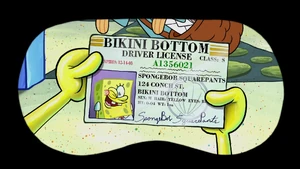 List of driver's licenses | Encyclopedia SpongeBobia | Fandom