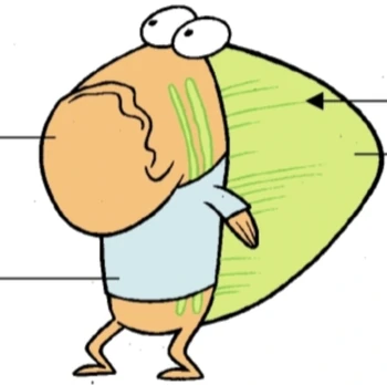 Incidental 69 | Encyclopedia SpongeBobia | Fandom