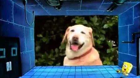 Plankton! | Encyclopedia SpongeBobia | Fandom