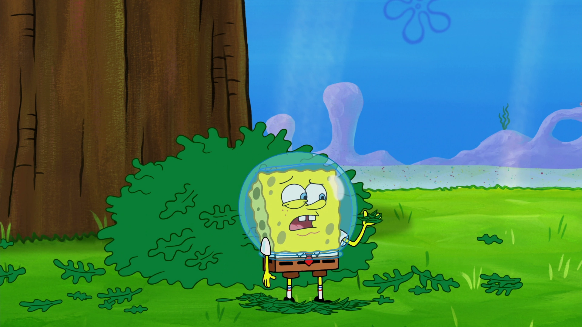 Acorn | Encyclopedia SpongeBobia | Fandom