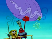 SpongeBob SquarePants (character)/gallery/Clams | Encyclopedia ...