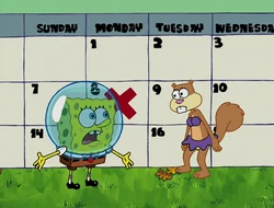 Prehibernation Week | Encyclopedia SpongeBobia | Fandom