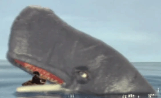 Live-action whale | Encyclopedia SpongeBobia | Fandom