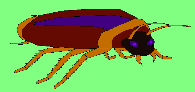 Giant Cockroach | SpongeBob & Friends Adventures Wiki | Fandom