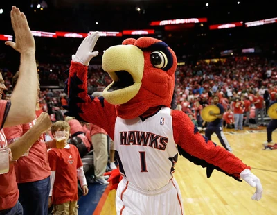 Harry the Hawk (Atlanta Hawks) | SportsMascots Wikia | Fandom