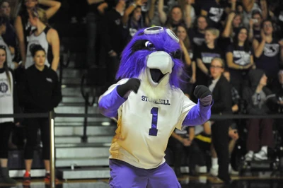 Ace the Skyhawk (Stonehill College) | SportsMascots Wikia | Fandom