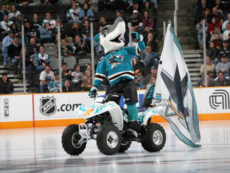 S.J. Sharkie (San Jose Sharks) | SportsMascots Wikia | Fandom