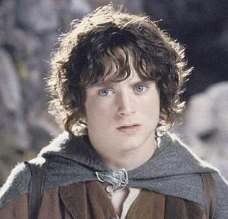 Frodo Bolson | Wiki El señor de los anillos | Fandom