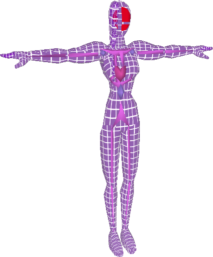 Imagen - Pose T Fighting Wire Frame Female (SSBM).png | SmashPedia ...