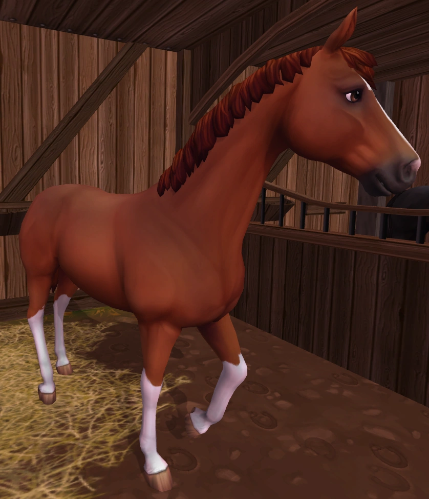 Trakehner | Star Stable Wiki | Fandom