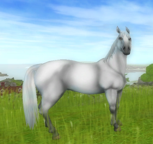 Lipizzaner | Star Stable Wiki | Fandom