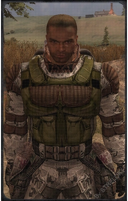 Strider | Wiki STALKER | Fandom