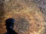 Category:Shadow of Chernobyl Artifacts | S.T.A.L.K.E.R. Wiki | FANDOM ...