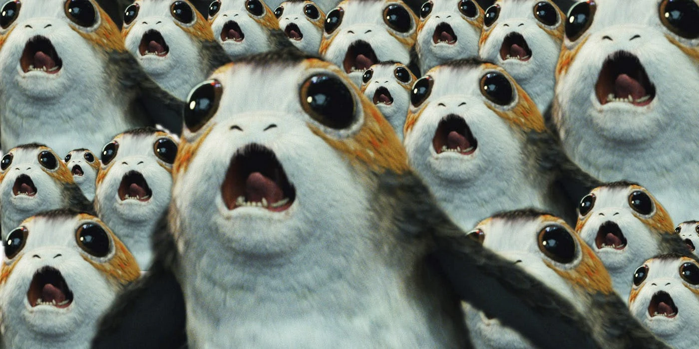 Porgs | Star Wars Porgs Wiki | FANDOM powered by Wikia