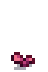 Amaranto | Wikia Stardew Valley | Fandom