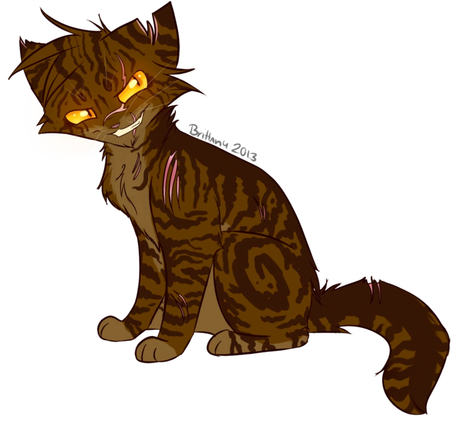 Tigerstar | StarKits Prophecy Wiki | FANDOM powered by Wikia