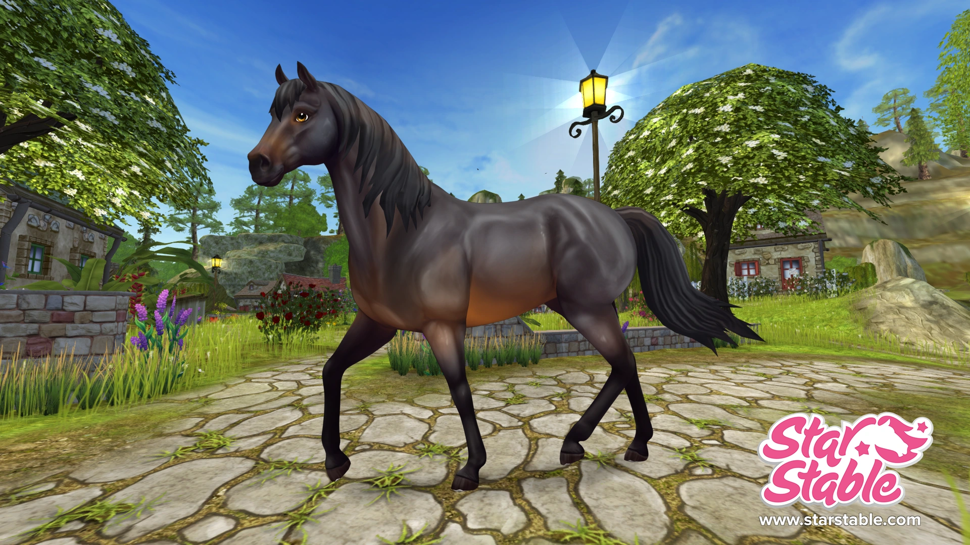 Jorvikiskt varmblod | Starstableonline Wiki | Fandom