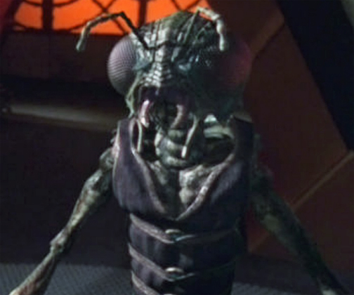 Xindi-Insectoid | Memory Beta, non-canon Star Trek Wiki | Fandom