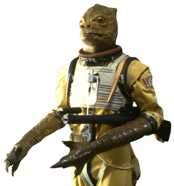 Reptile | Wookieepedia | FANDOM powered by Wikia