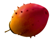 Meiloorun fruit | Wookieepedia | Fandom