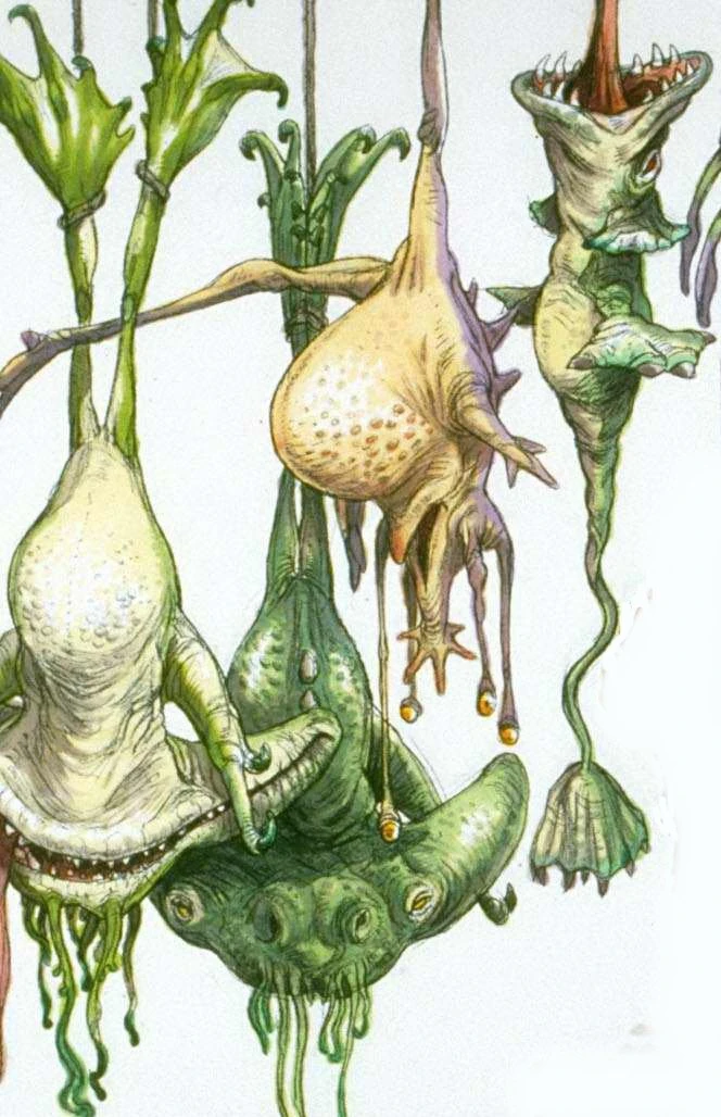 Gorg | Star Wars Wiki | FANDOM powered by Wikia