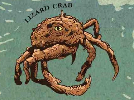 Lizard crab | Wookieepedia | Fandom