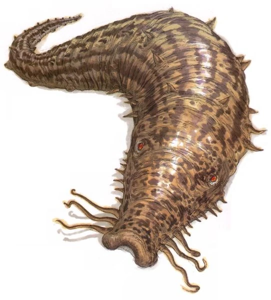 Duracrete Worm | Star Wars Wiki | Fandom
