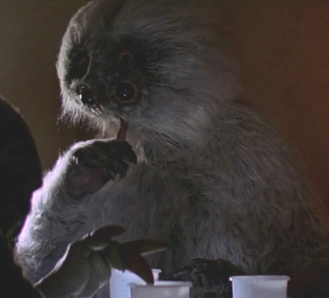 Muftak | Star Wars Wiki | FANDOM powered by Wikia