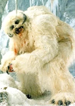 Wampa | Star Wars Wiki | FANDOM powered by Wikia