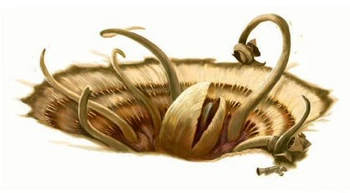 Sarlacc | Wookieepedia | FANDOM powered by Wikia