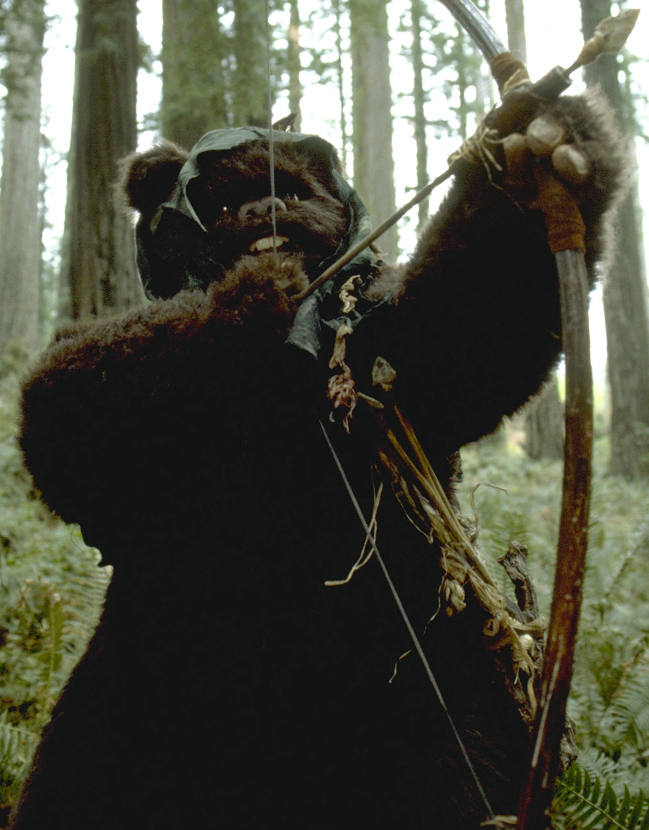Why Can’t We Ban Star Wars? – Matt The Catania