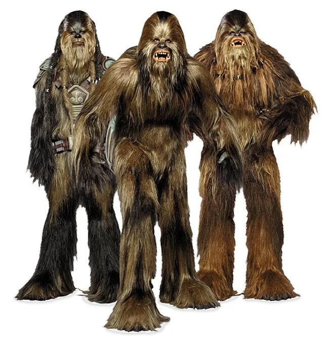 Wookiee | Star Wars Wiki | FANDOM powered by Wikia