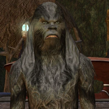 *The Official Wookie Fan Club* | Jedi Council Forums