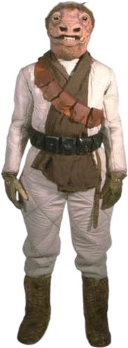 Geezum | Wookieepedia | Fandom