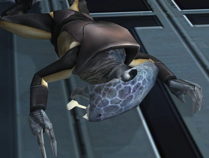 Galas (Selkath) | Wookieepedia | Fandom