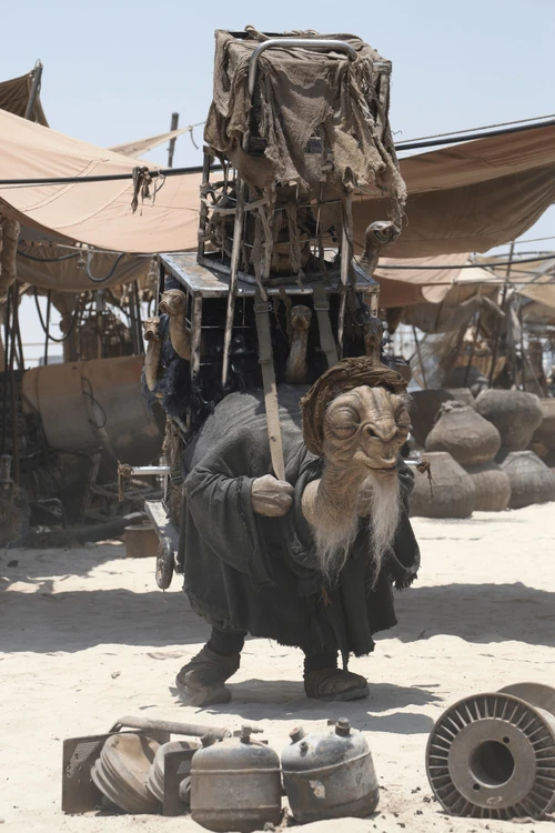 Bobbajo | Wookieepedia | FANDOM powered by Wikia