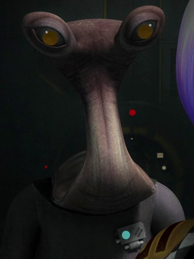 Unidentified Ithorian (Freighter 2716) | Wookieepedia | Fandom