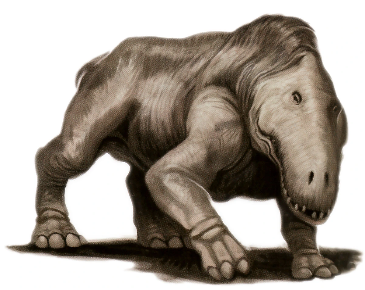 Orray | Wookieepedia | Fandom