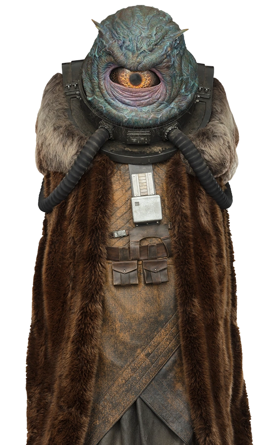 Octeroid | Wookieepedia | Fandom