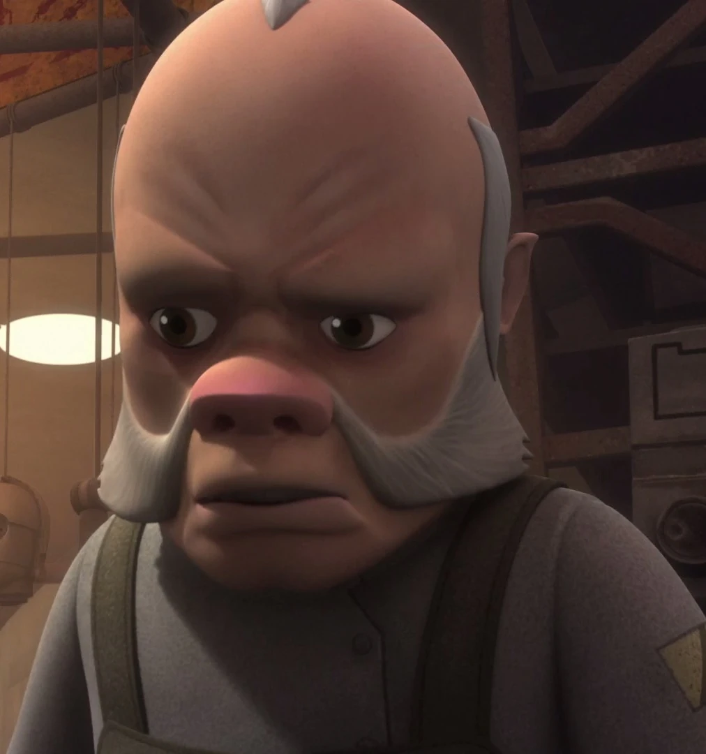 Unidentified Ugnaught scrap merchant | Wookieepedia | FANDOM powered by ...